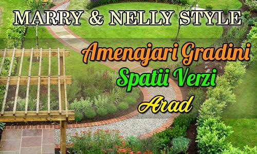 Amenajari Gradina Arad